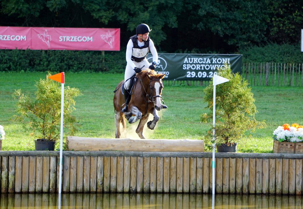 Dyscypliny jeździeckie - WKKW - PZJ